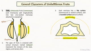 Pharmacognosy 1 (Fruits): Introduction | PDF