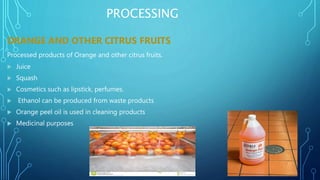 Fruit and vegetable processing | PPTX | Agriculture | Industries
