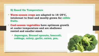 Fruit and Vegetable processing technology.pdf