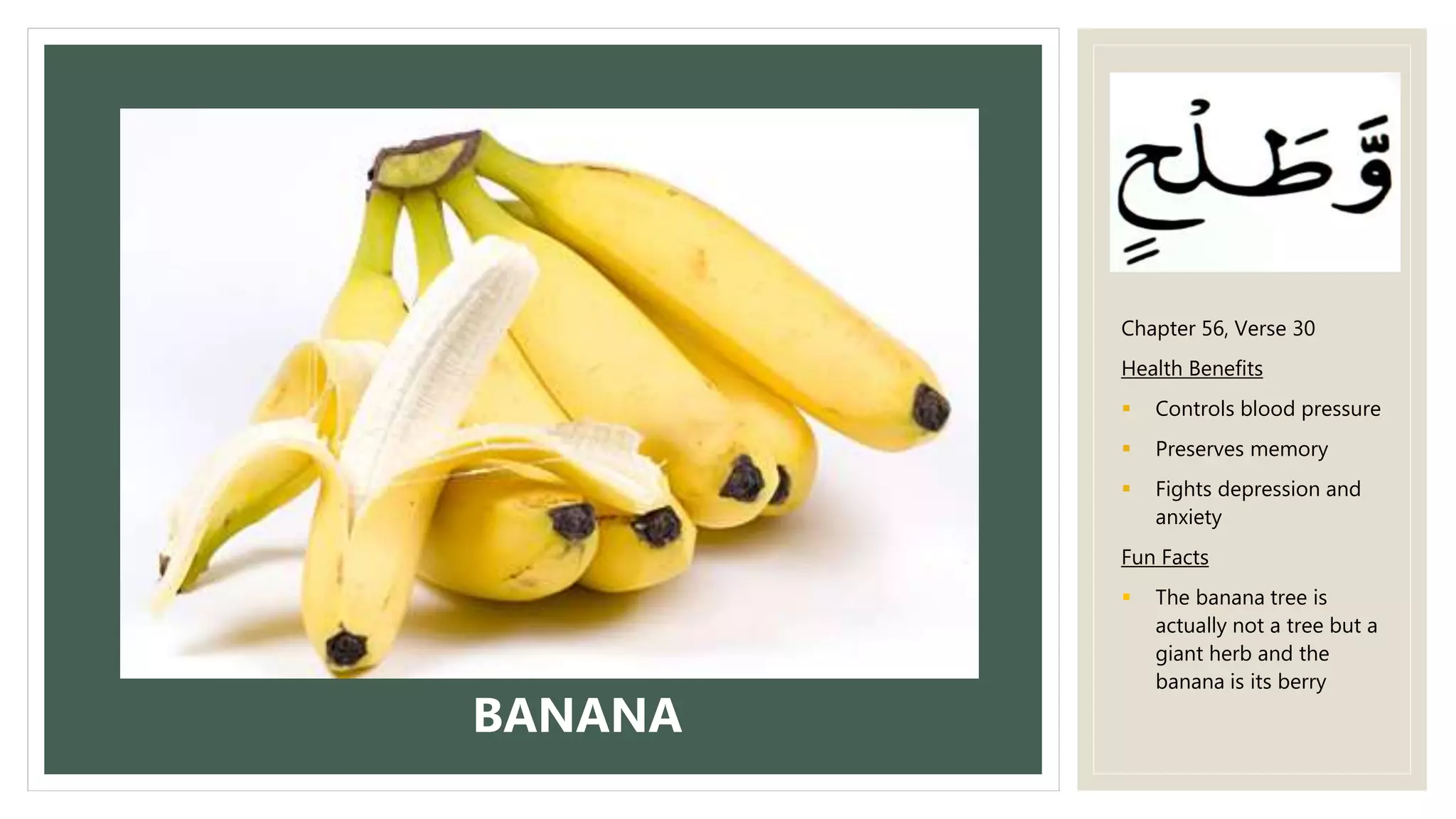 Fruit and Vegetables from the Holy Qur'an | PPTX