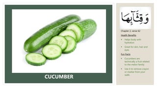 Fruit and Vegetables from the Holy Qur'an | PPTX