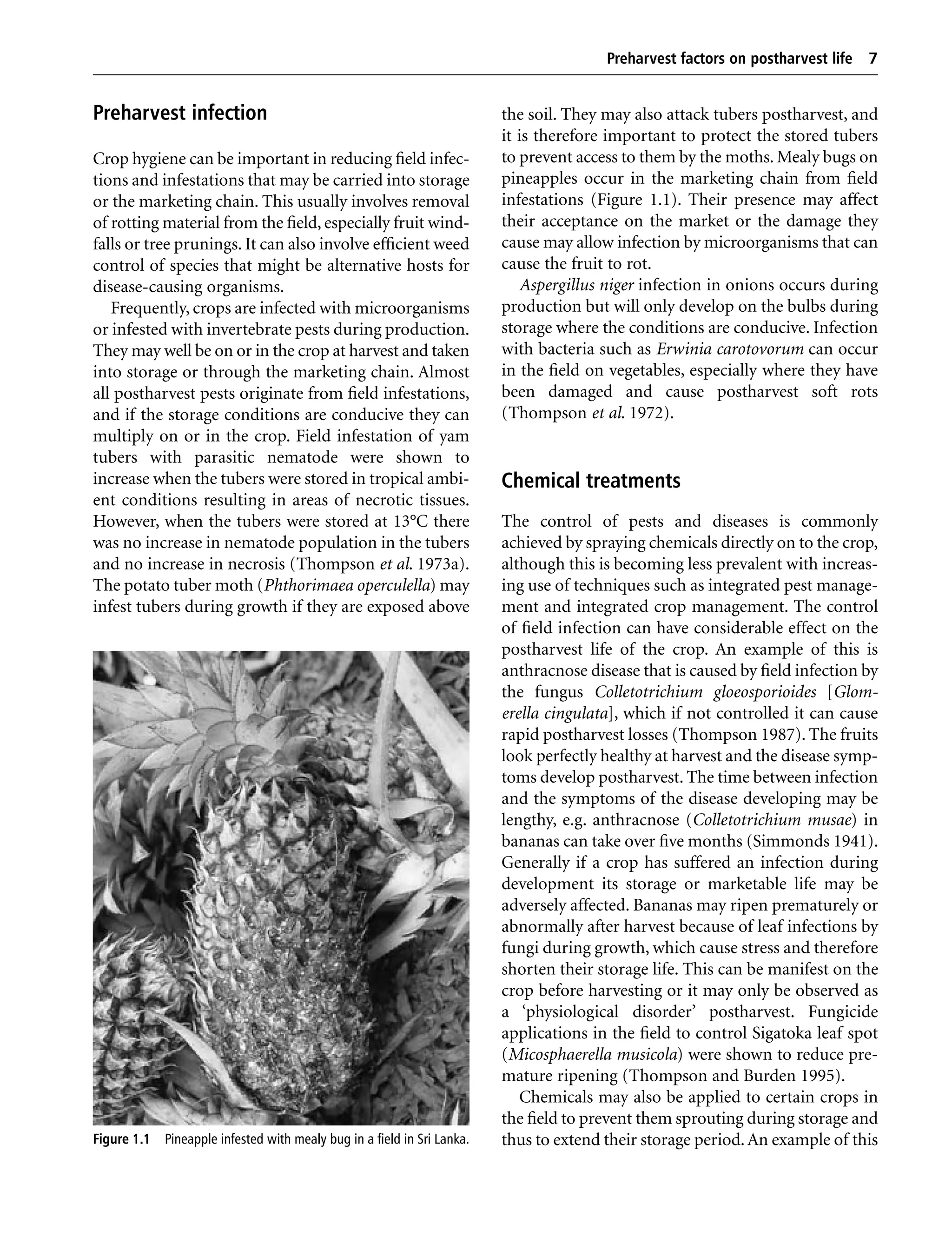 Fruit and vegetables Harvesting, Handling and Storage | PDF