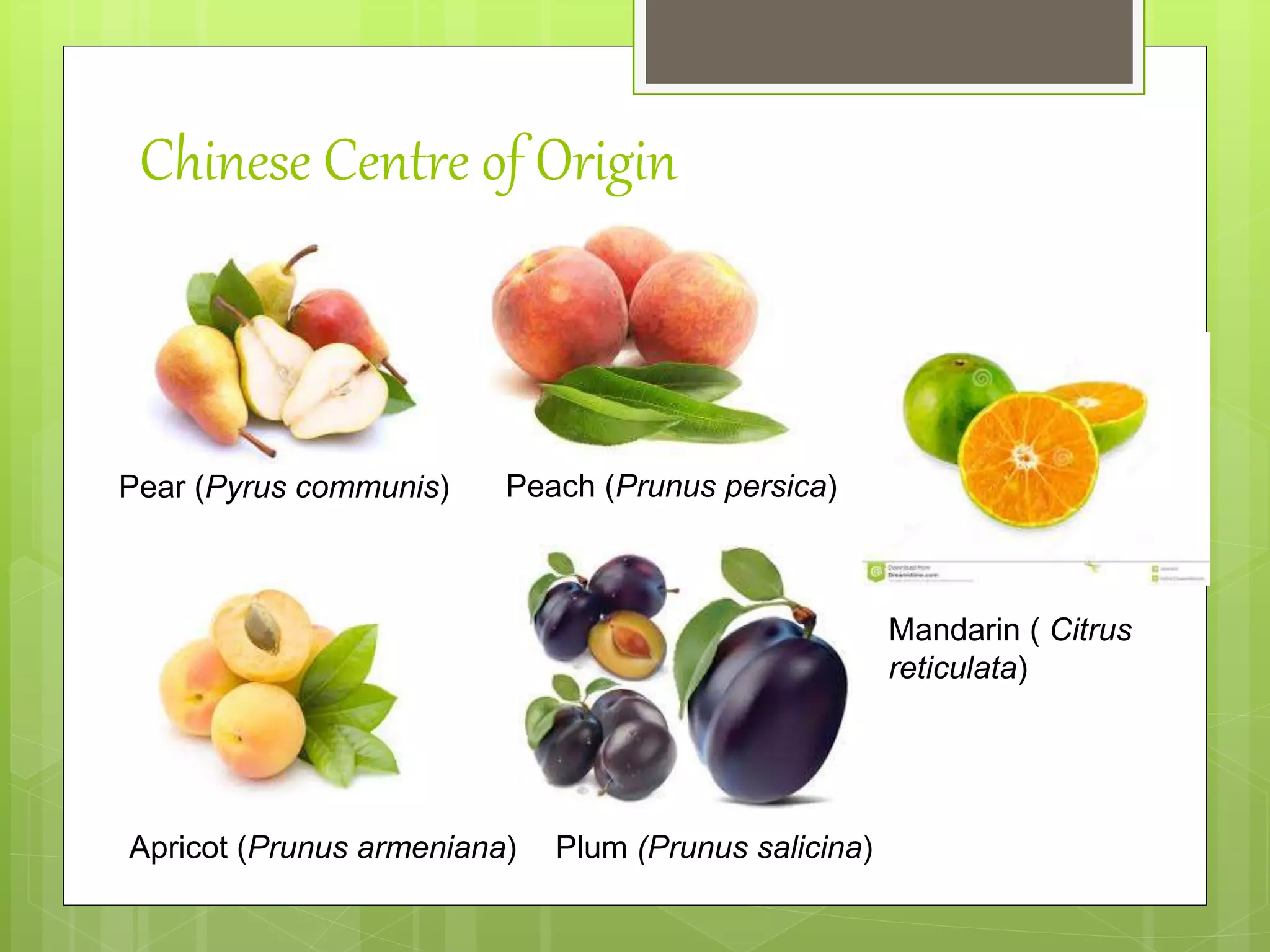 Center of Origin, Diversity in horticultural crops, | PPTX