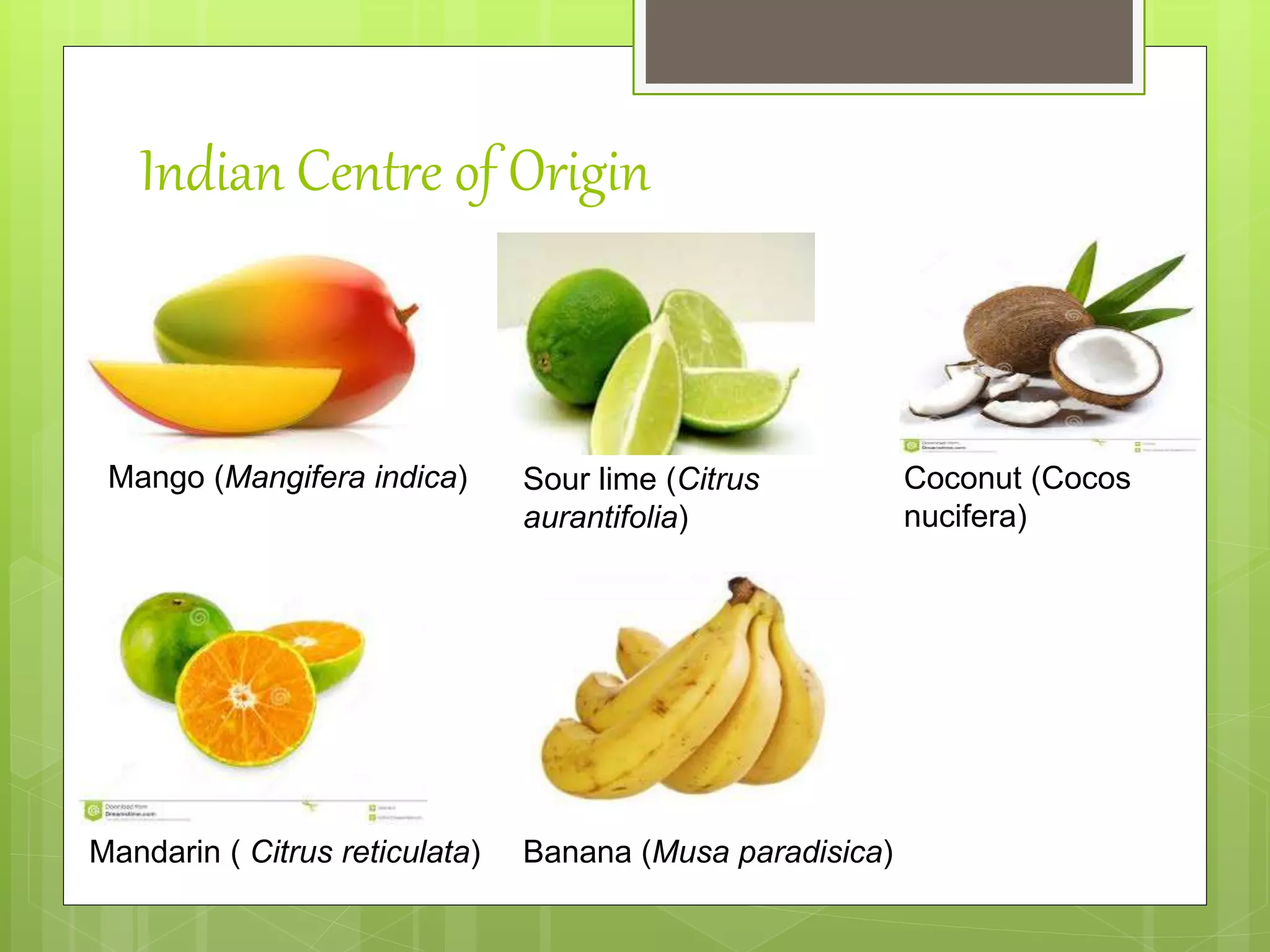 Center of Origin, Diversity in horticultural crops, | PPTX