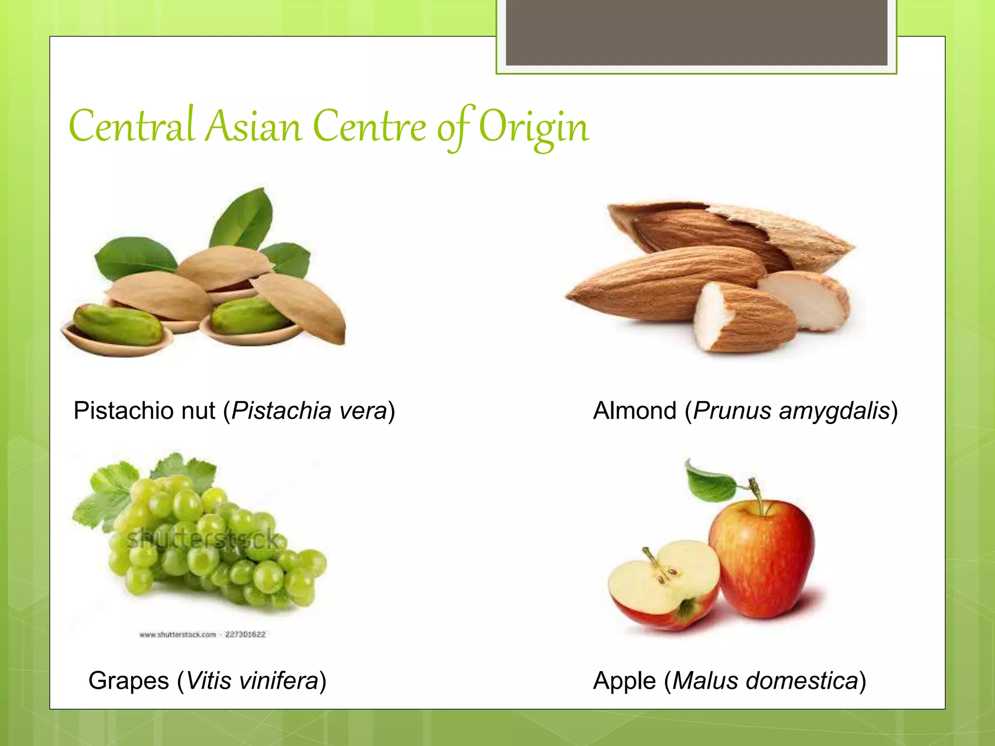 Center of Origin, Diversity in horticultural crops, | PPTX