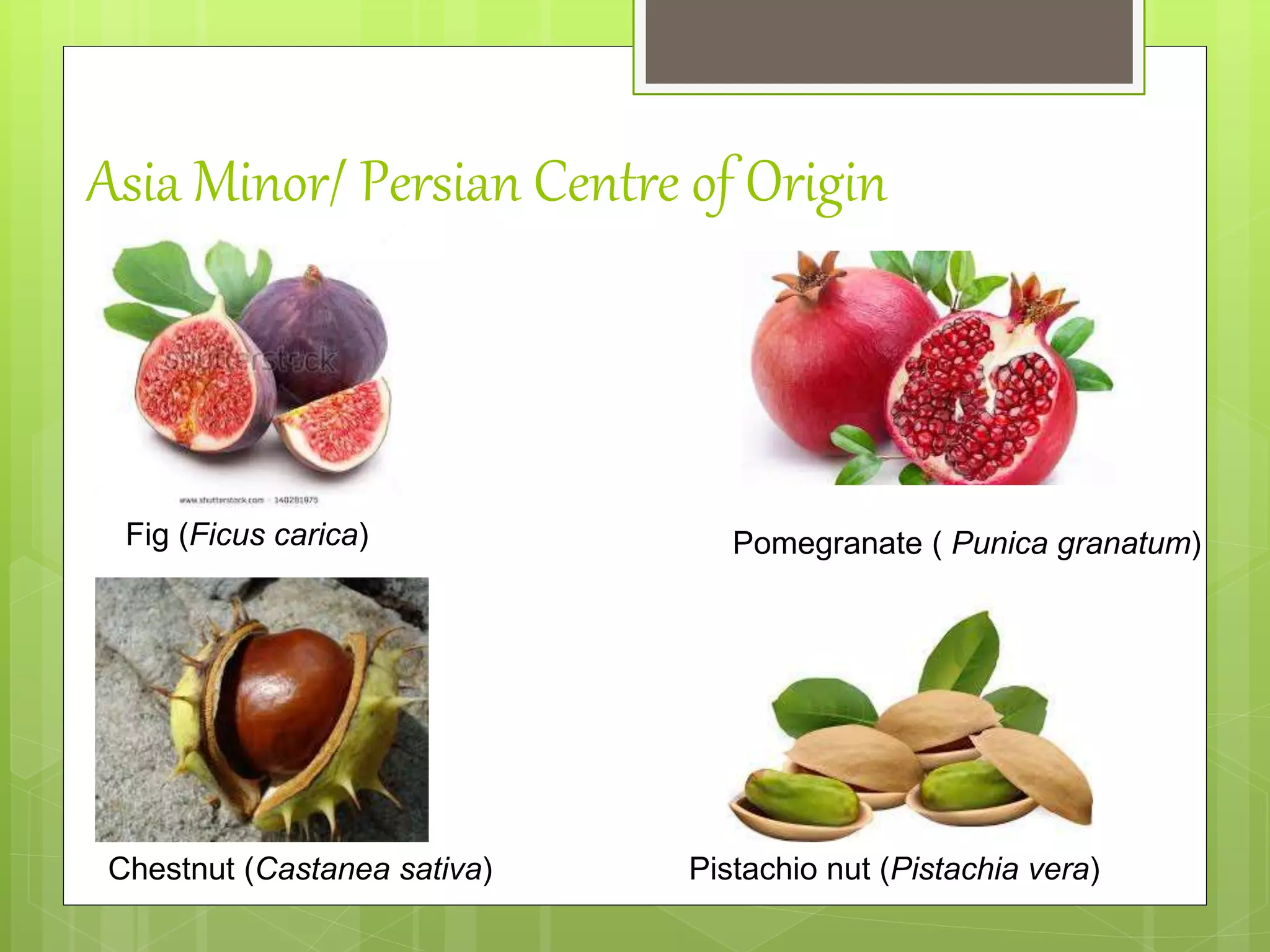 Center of Origin, Diversity in horticultural crops, | PPTX