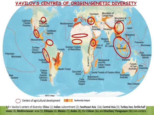 Center of Origin, Diversity in horticultural crops, | PPTX