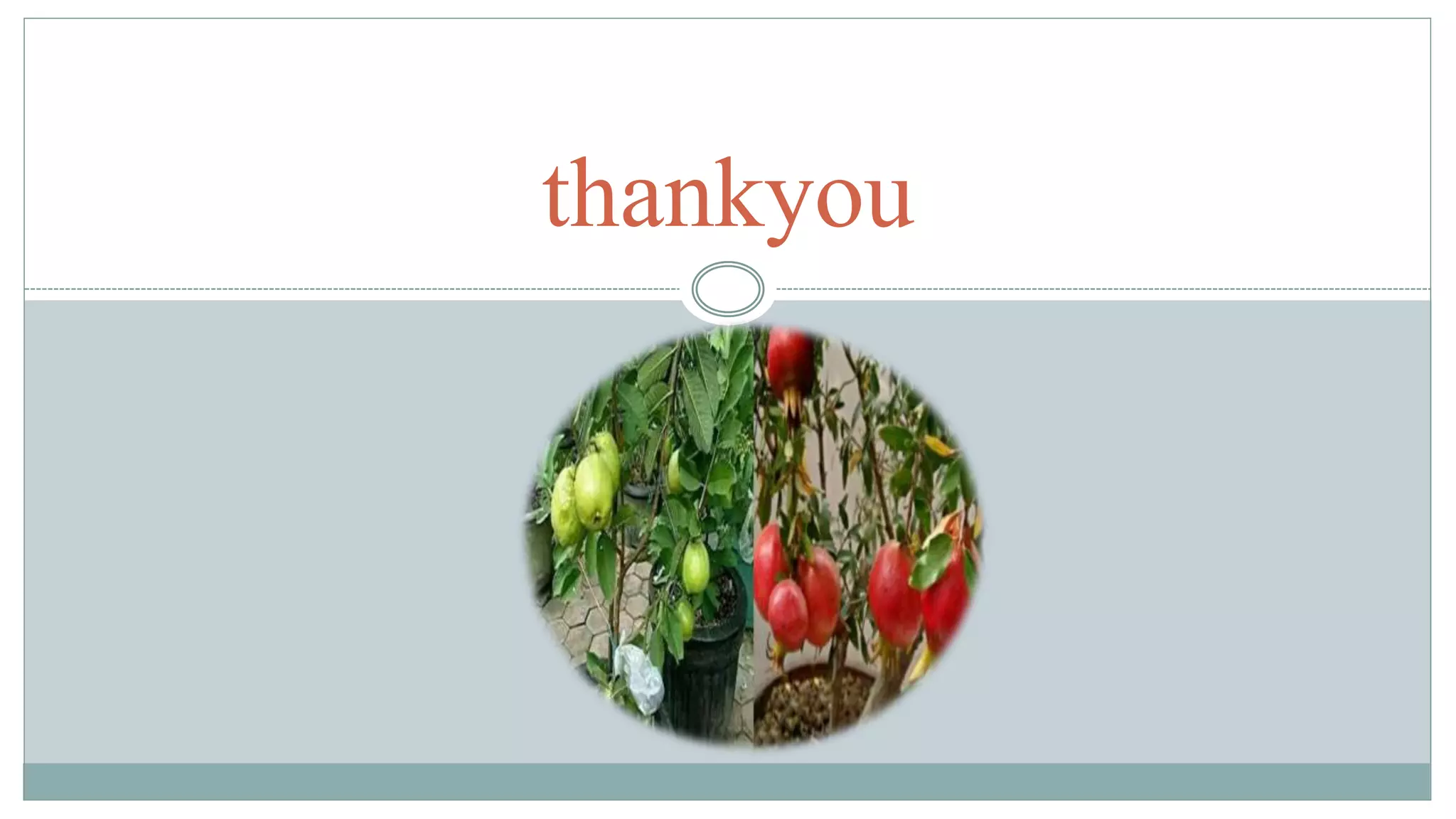 FRUIT BREEDING BY S SIMMY JAIN.pptx | Agriculture | Industries