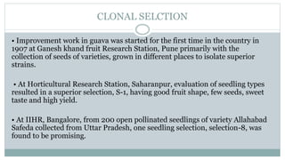 FRUIT BREEDING BY S SIMMY JAIN.pptx | Agriculture | Industries