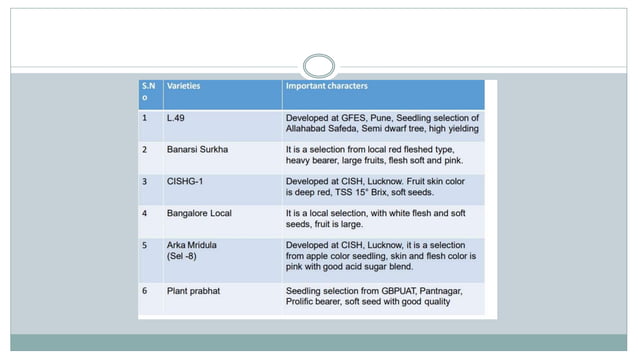 FRUIT BREEDING BY S SIMMY JAIN.pptx