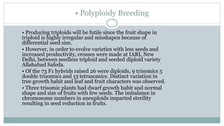 FRUIT BREEDING BY S SIMMY JAIN.pptx