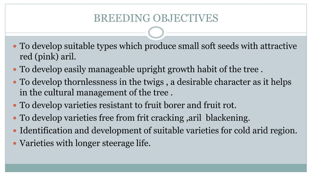FRUIT BREEDING BY S SIMMY JAIN.pptx