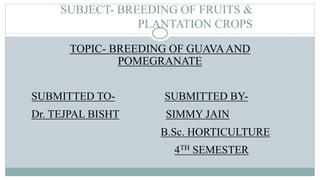 FRUIT BREEDING BY S SIMMY JAIN.pptx