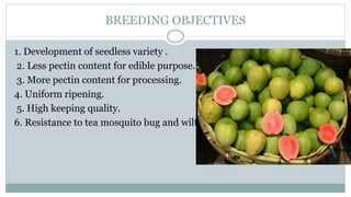 FRUIT BREEDING BY S SIMMY JAIN.pptx
