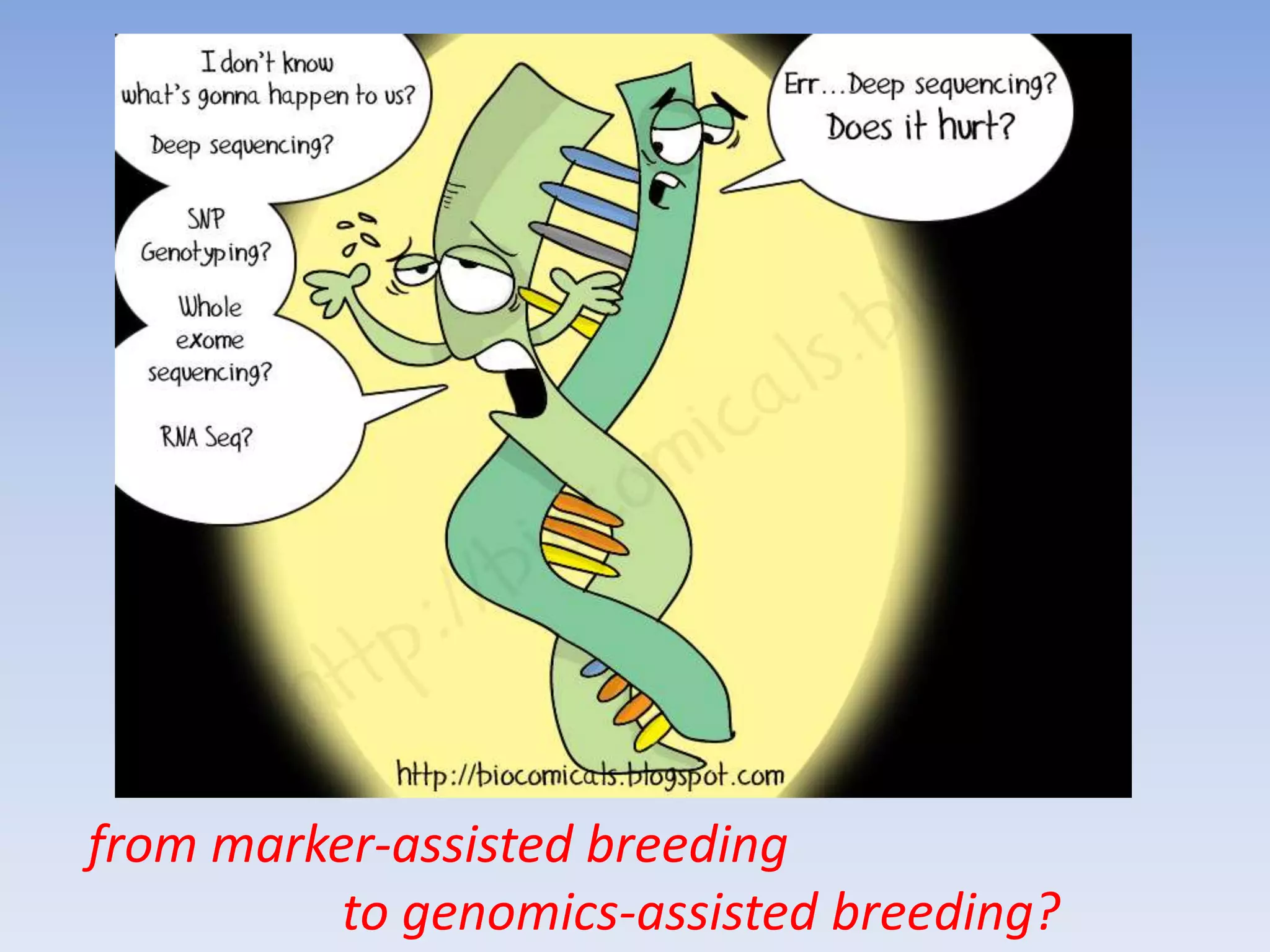 Fruit breedomics workshop wp6 from marker assisted breeding to genomics ...