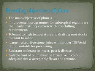 plum breeding techniques kiran | PPTX