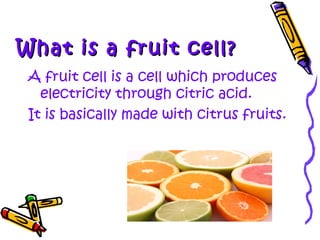 Fruit cell | PPT