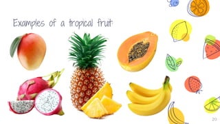 Fruit classification 1 | PPTX | Gardening | Home & Garden