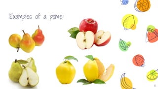 Fruit classification 1 | PPTX | Gardening | Home & Garden