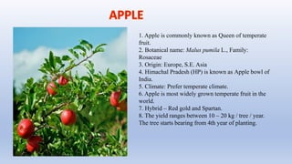 Fruit crops | PPTX