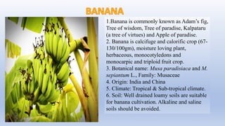 Fruit crops | PPTX