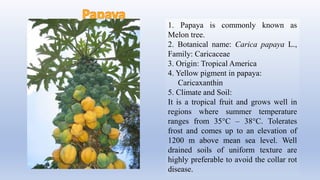 Fruit crops | PPTX