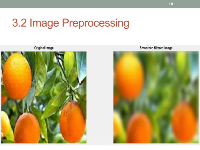 Fruit detection using morphological | PPTX