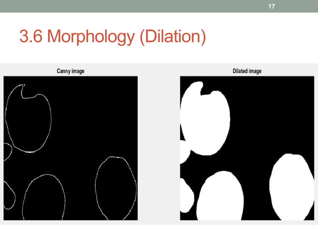 Fruit Detection Using Morphological Pptx