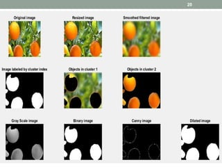 Fruit detection using morphological | PPTX