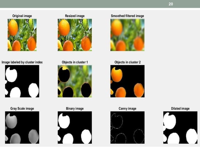 Fruit detection using morphological | PPTX