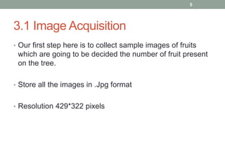 Fruit detection using morphological | PPTX