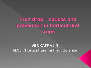 Fruit drop – causes and prevention in horticuture crops | PPTX