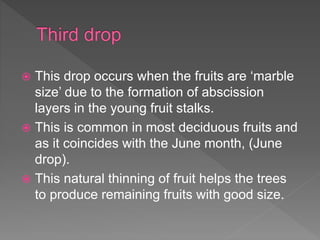 Fruit drop – causes and prevention in horticuture crops | PPTX
