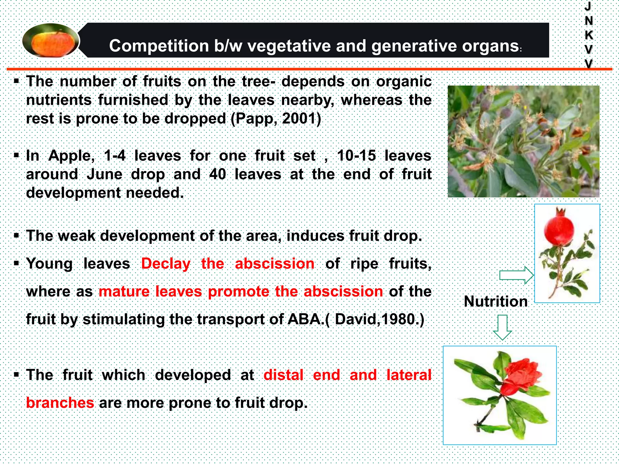 Fruit Drop in Horticulture Crops.pptx