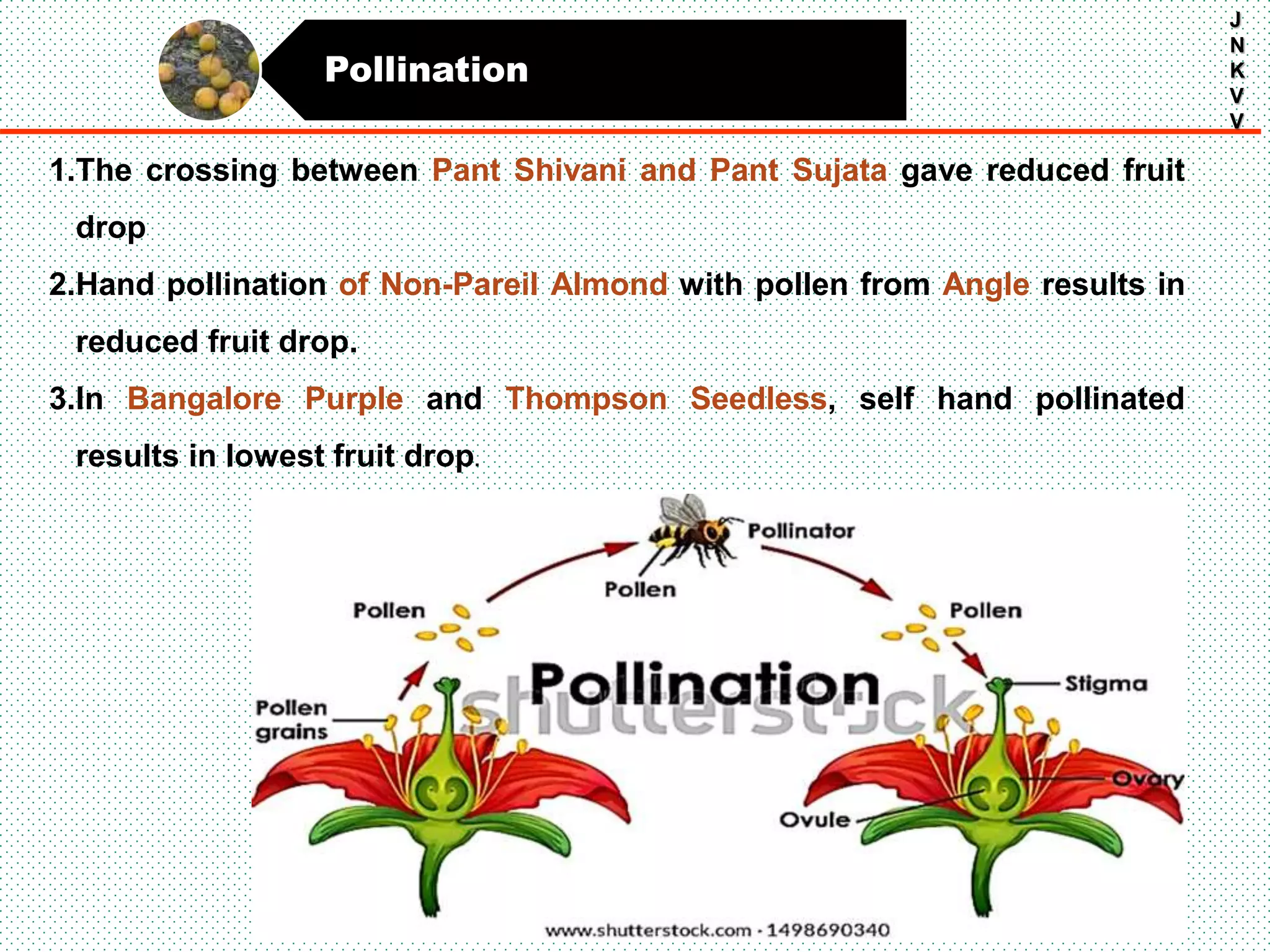 Fruit Drop in Horticulture Crops.pptx