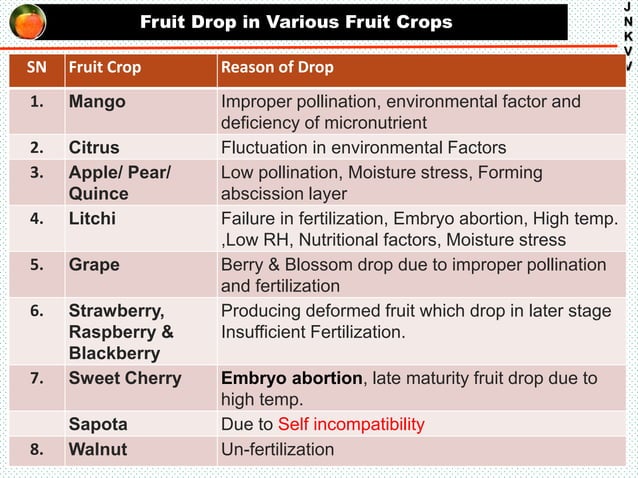 Fruit Drop in Horticulture Crops.pptx