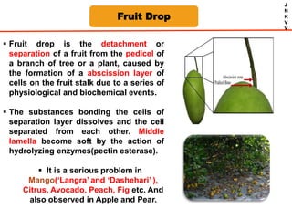 Fruit Drop in Horticulture Crops.pptx