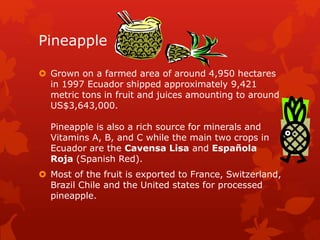 Fruit export from Ecuador to Russia | PPTX