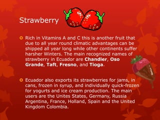 Fruit export from Ecuador to Russia | PPTX