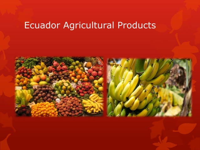 Fruit export from Ecuador to Russia | PPT