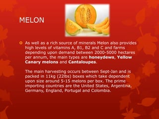 Fruit export from Ecuador to Russia | PPTX