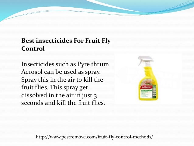 Fruit fly control methods