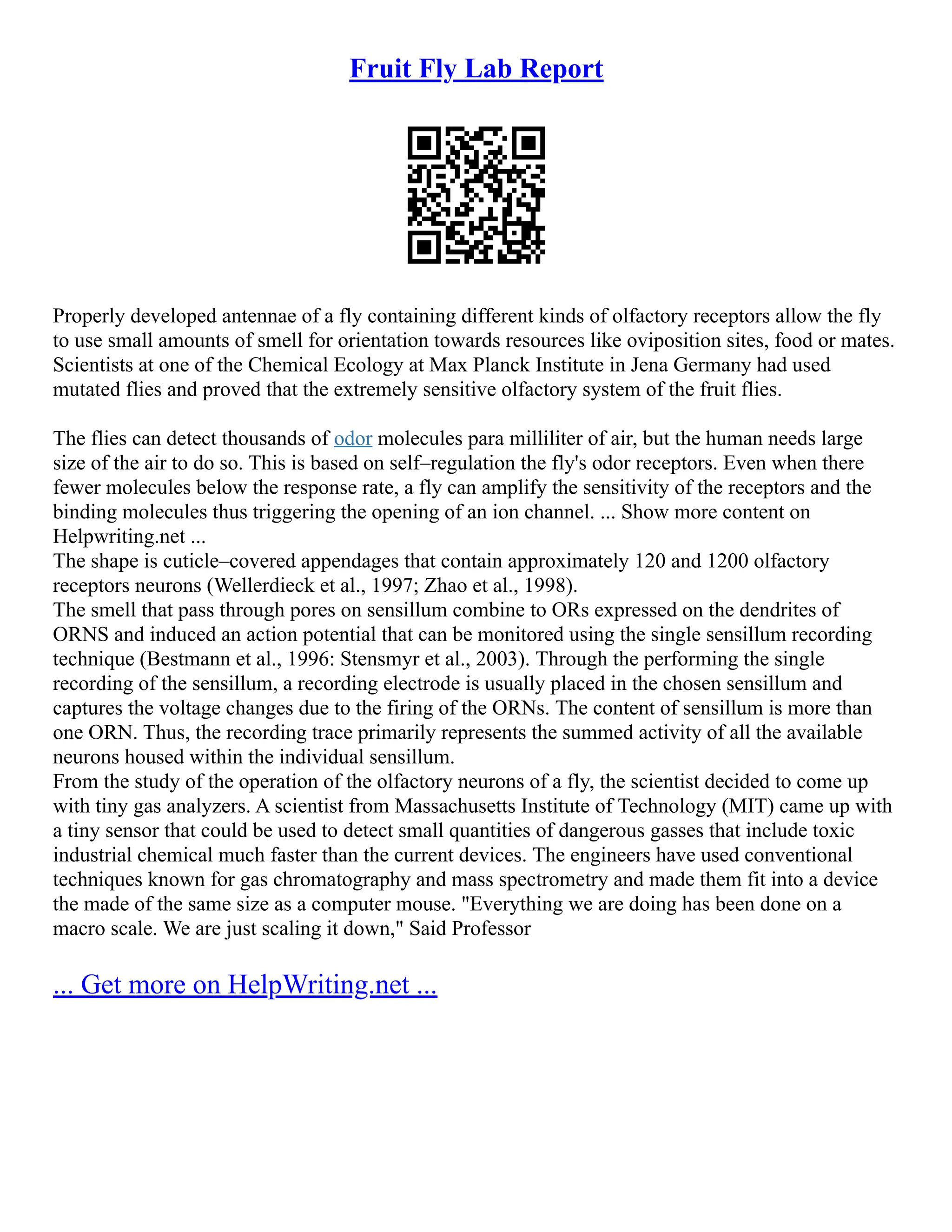 Fruit Fly Lab Report | PDF