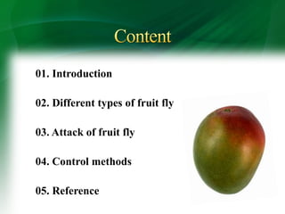 Fruit fyl attack and controlling | PPTX
