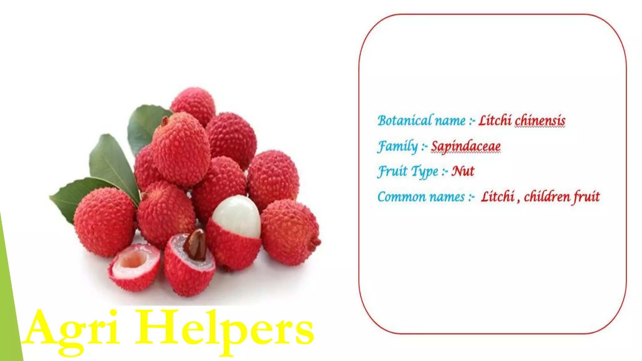 Fruit identification | PPT