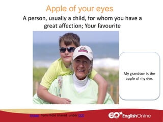 Fruit idioms | PPT