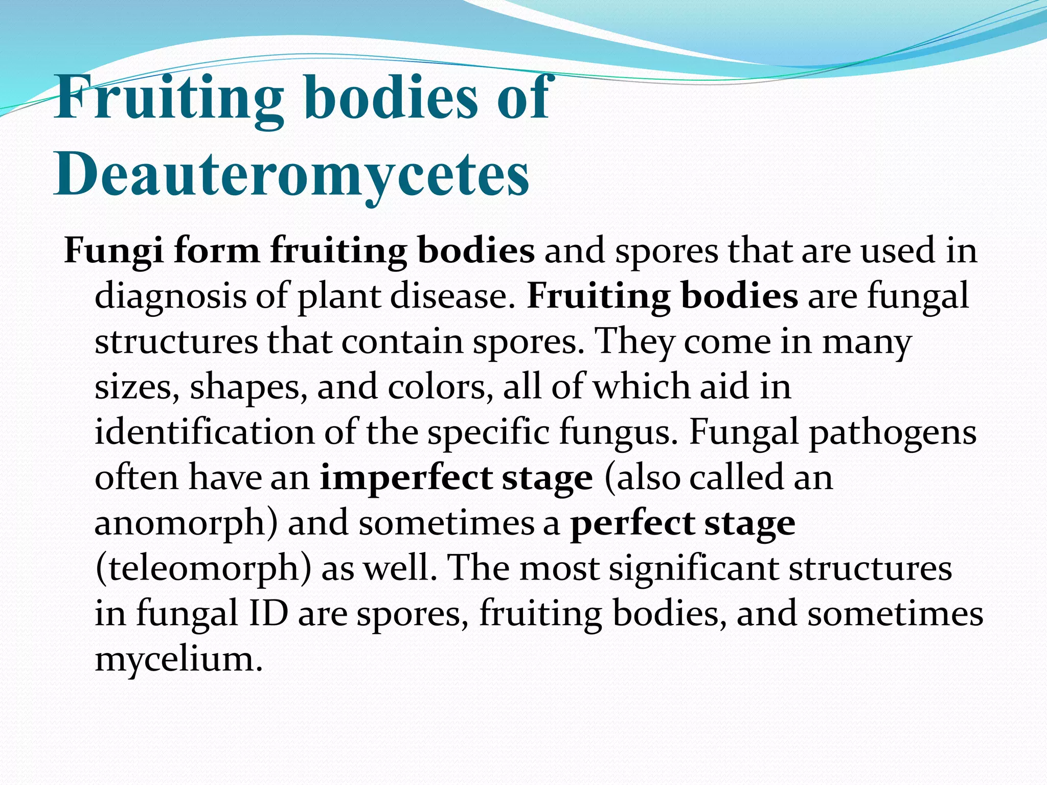Fruiting bodies of Deauteromycetes & Ascomycetes | PPTX