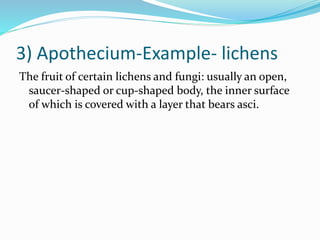 Fruiting bodies of Deauteromycetes & Ascomycetes | PPTX