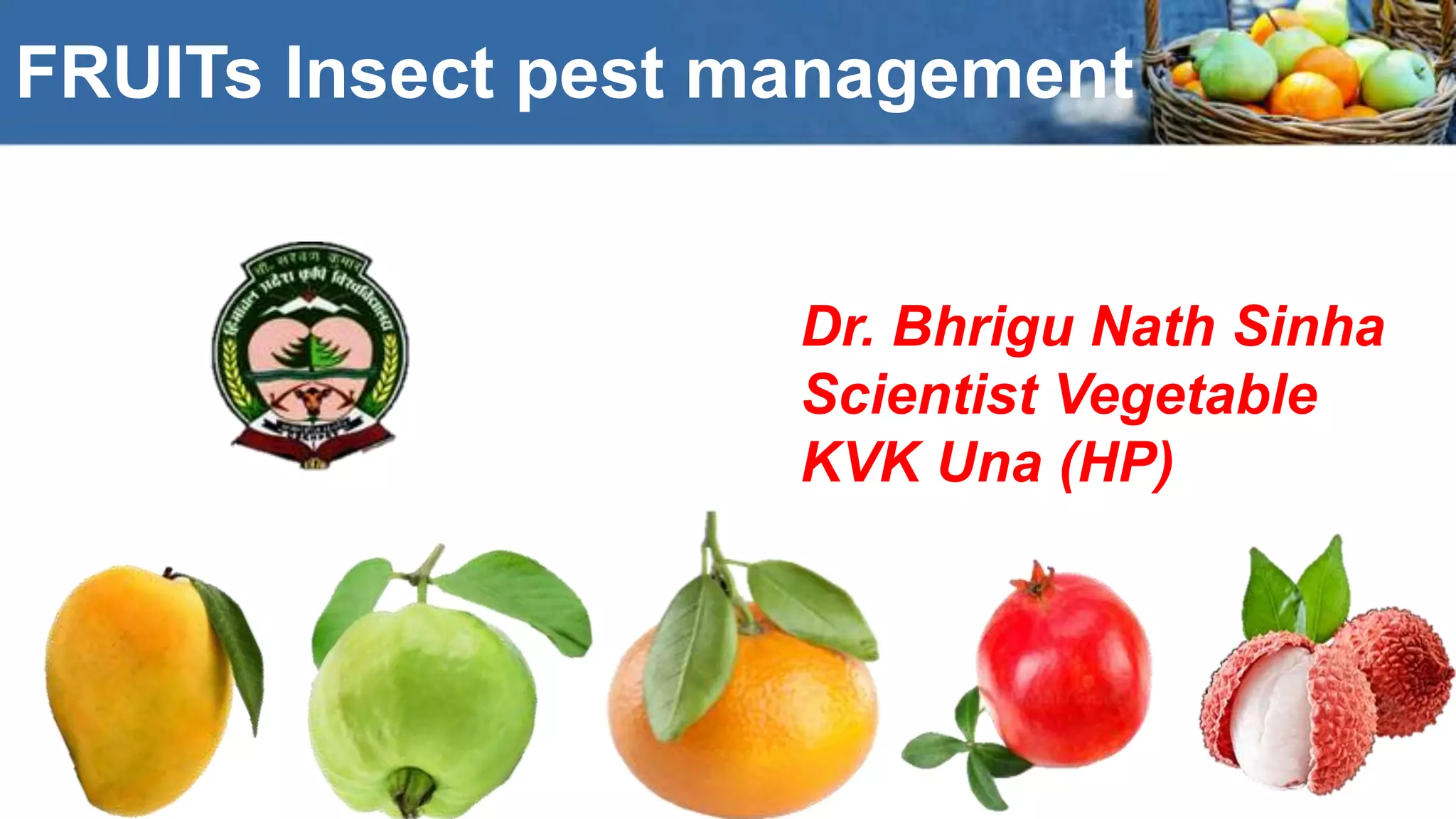 Major fruits - insect pest management , | PPTX