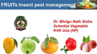 Major fruits - insect pest management , | PPTX